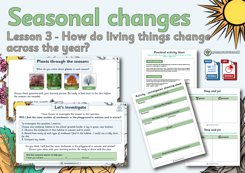 Seasonal Change - Grammarsaurus