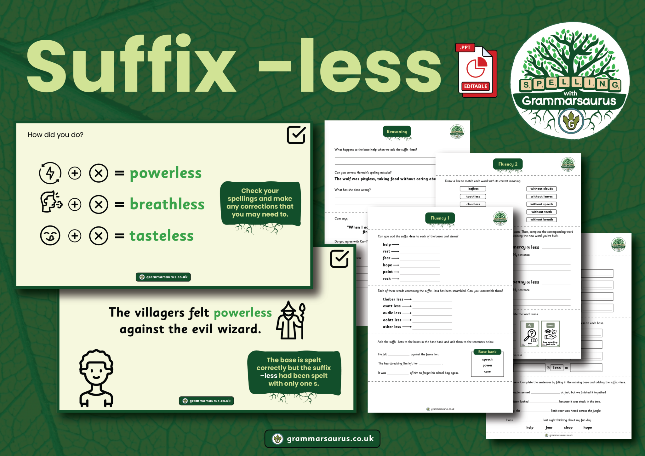 Y2 Objective 14 (Suffix -less) - Grammarsaurus