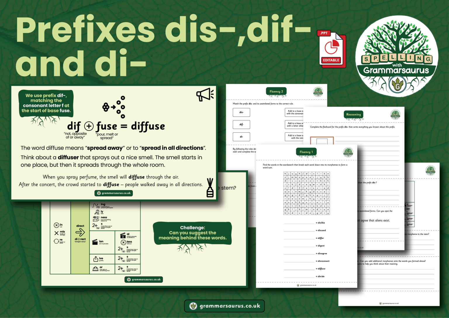 Y3 objective 19 (Prefixes dis-, dif- and di-) - Grammarsaurus