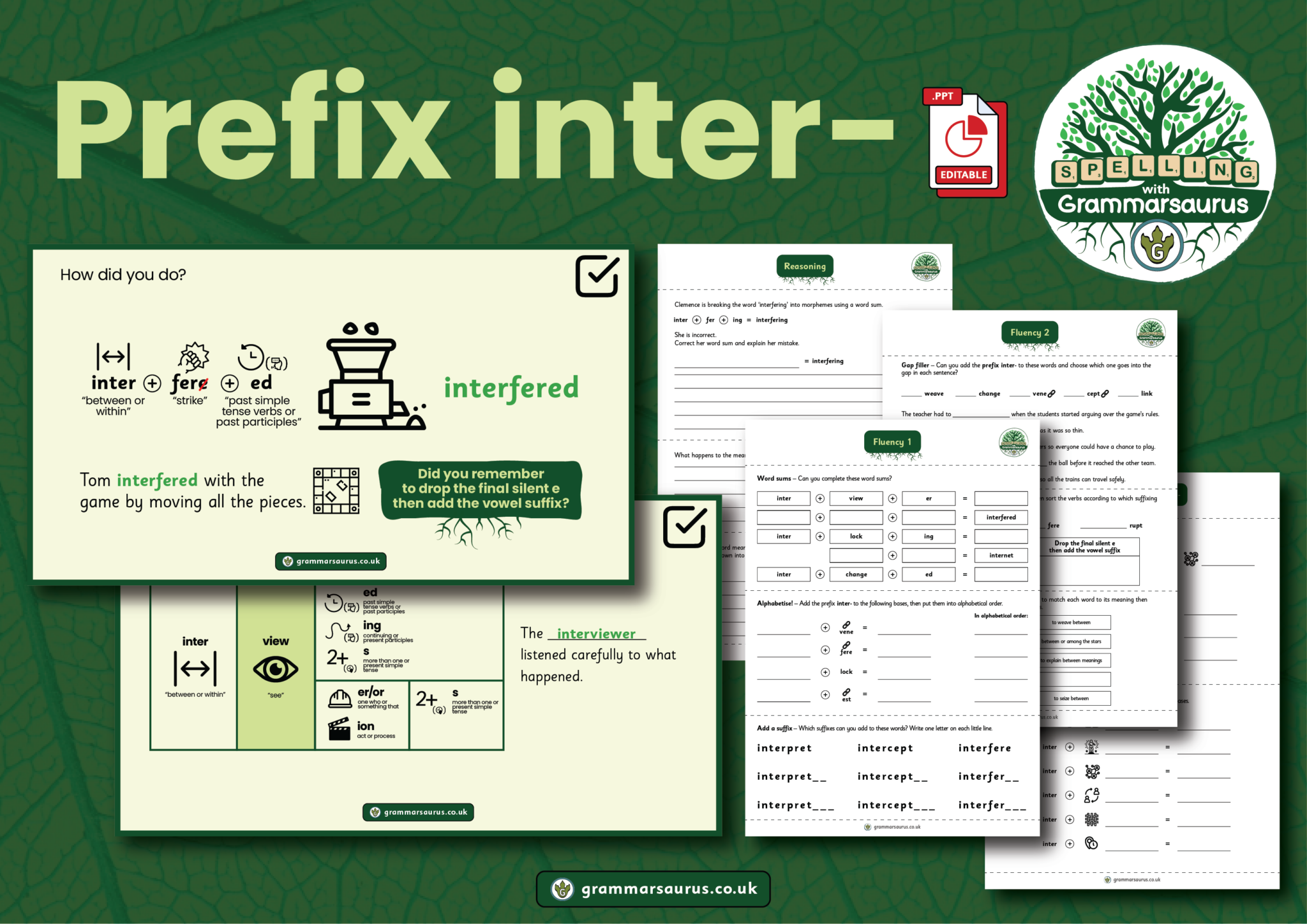 Y3 objective 14 (Prefix inter-) - Grammarsaurus