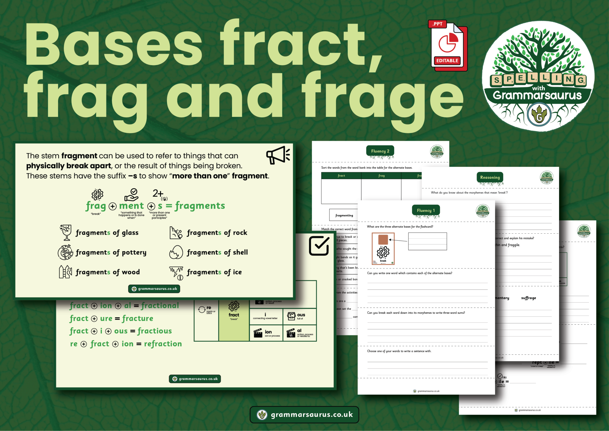 Y6 Objective 11 (Bases fract, frag & frage) - Grammarsaurus