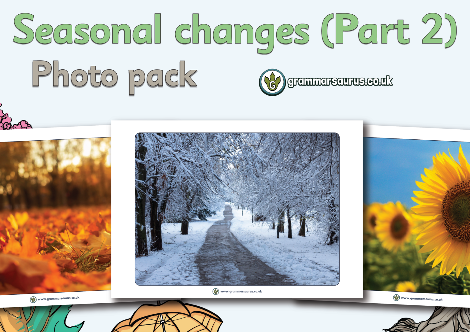 Year 1 Science - Seasonal Changes (Part 2) - Photo pack - Grammarsaurus