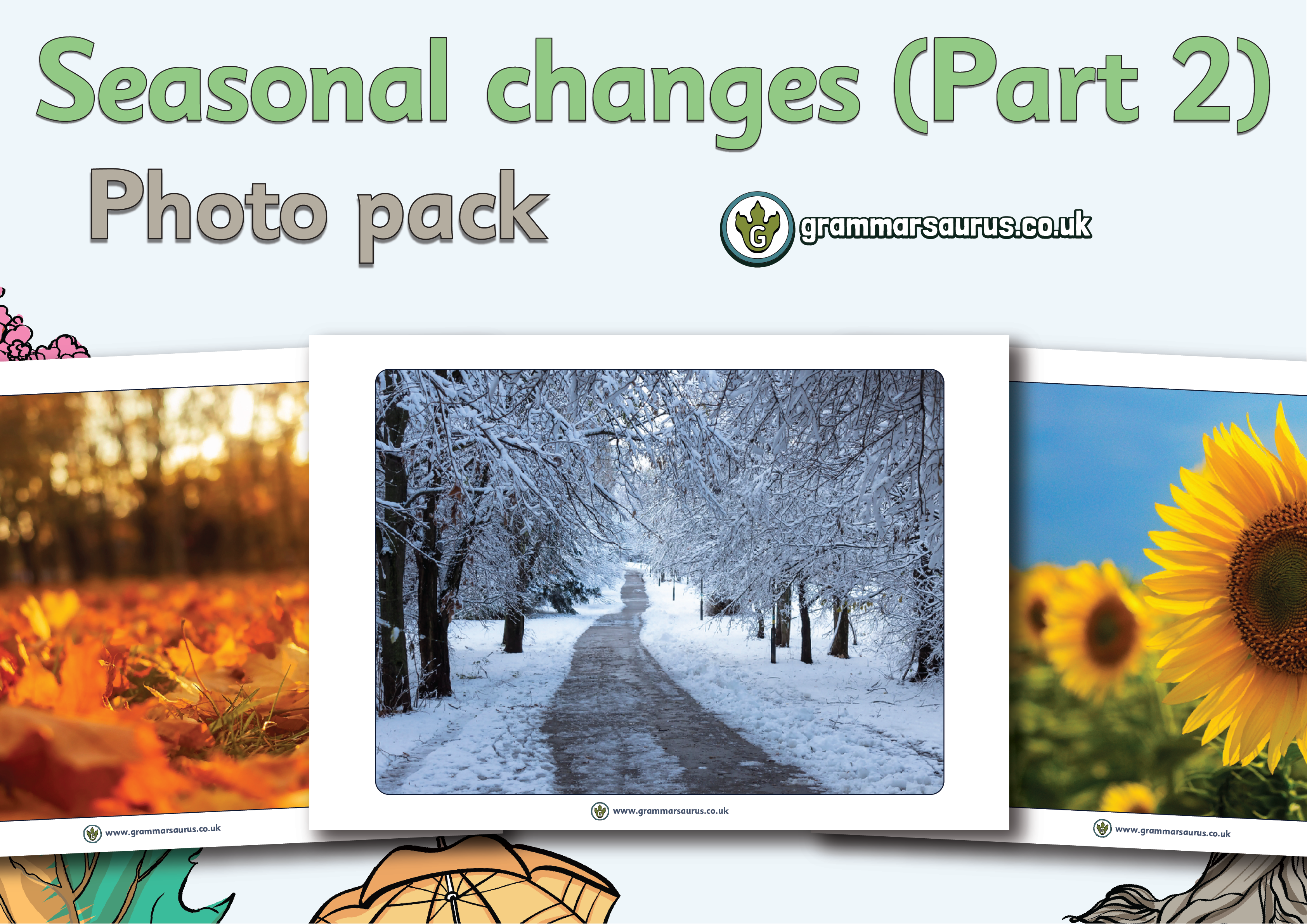 Year 1 Science - Seasonal Changes (Part 2) - Photo pack - Grammarsaurus