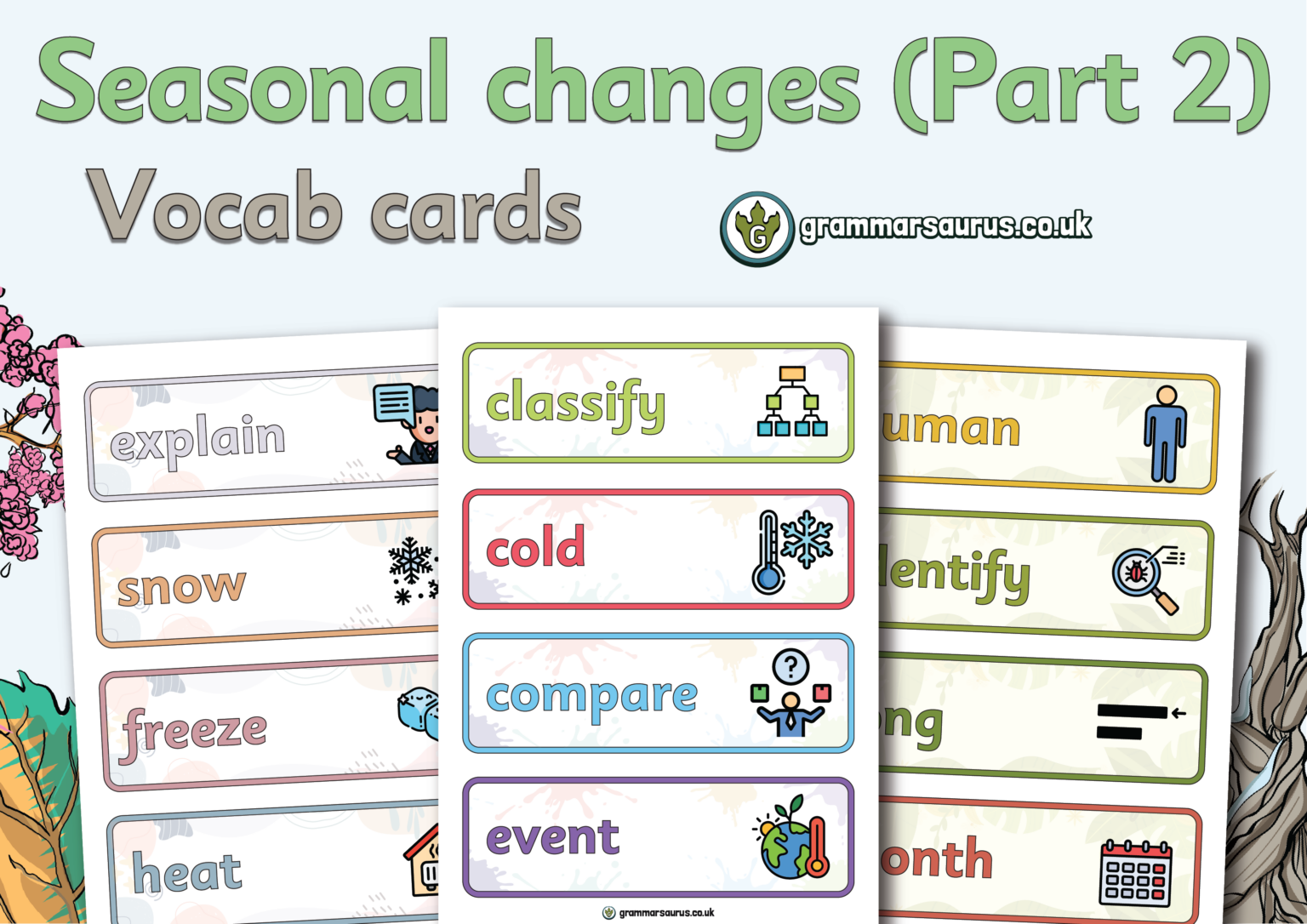Year 1 Science - Seasonal Changes (Part 2) - Vocab cards - Grammarsaurus