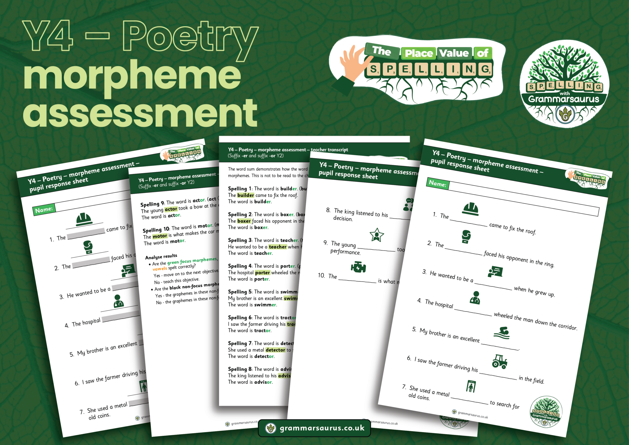 Y4 PVOS - Poetry - Morpheme assessment - Grammarsaurus