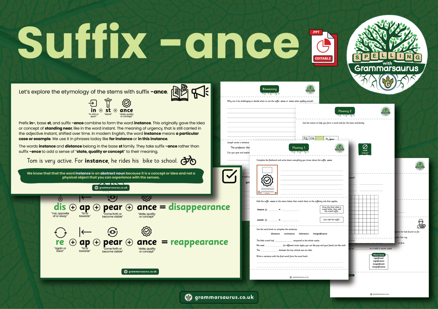 Y5 Objective 8 (Suffix -ance) - Grammarsaurus