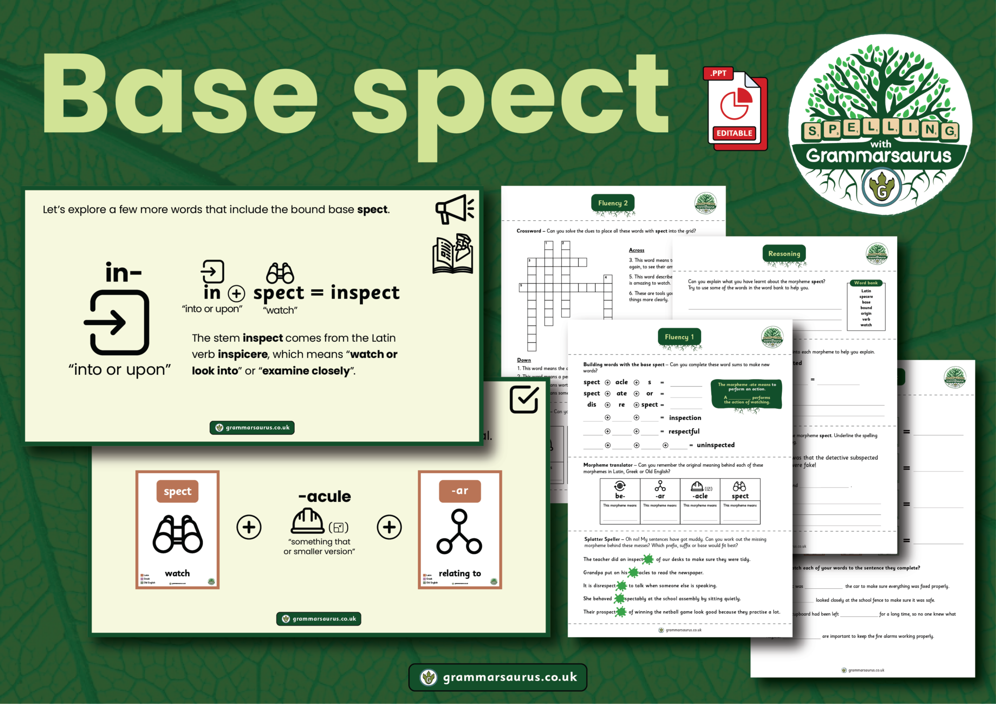 Y3 objective 17 (Base spect) - Grammarsaurus