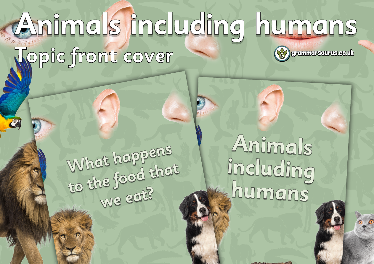 Year 4 Science - Animals including humans - Topic front cover ...