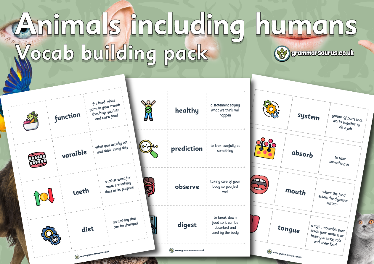 Year 4 Science - Animals including humans - Vocab building pack ...