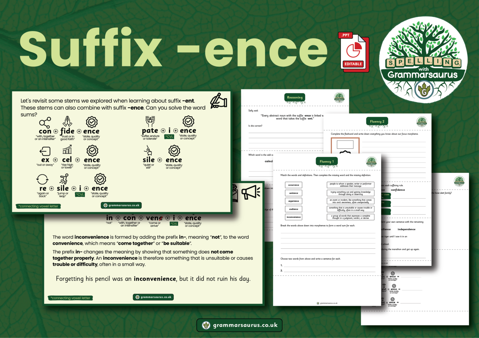 Y5 Objective 10 (Suffix -ence) - Grammarsaurus
