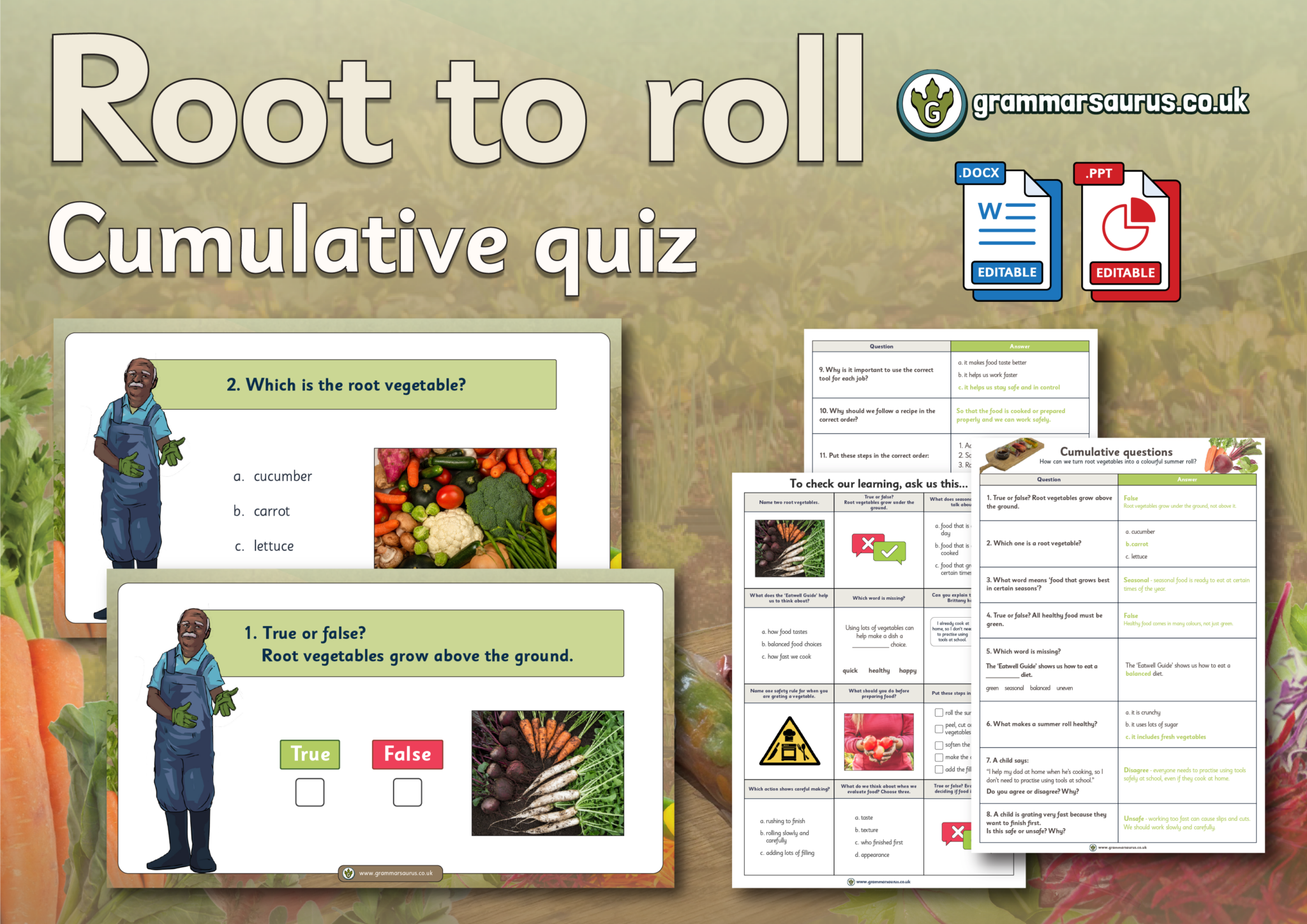 Year 3 – Root to roll – Cumulative quiz - Grammarsaurus