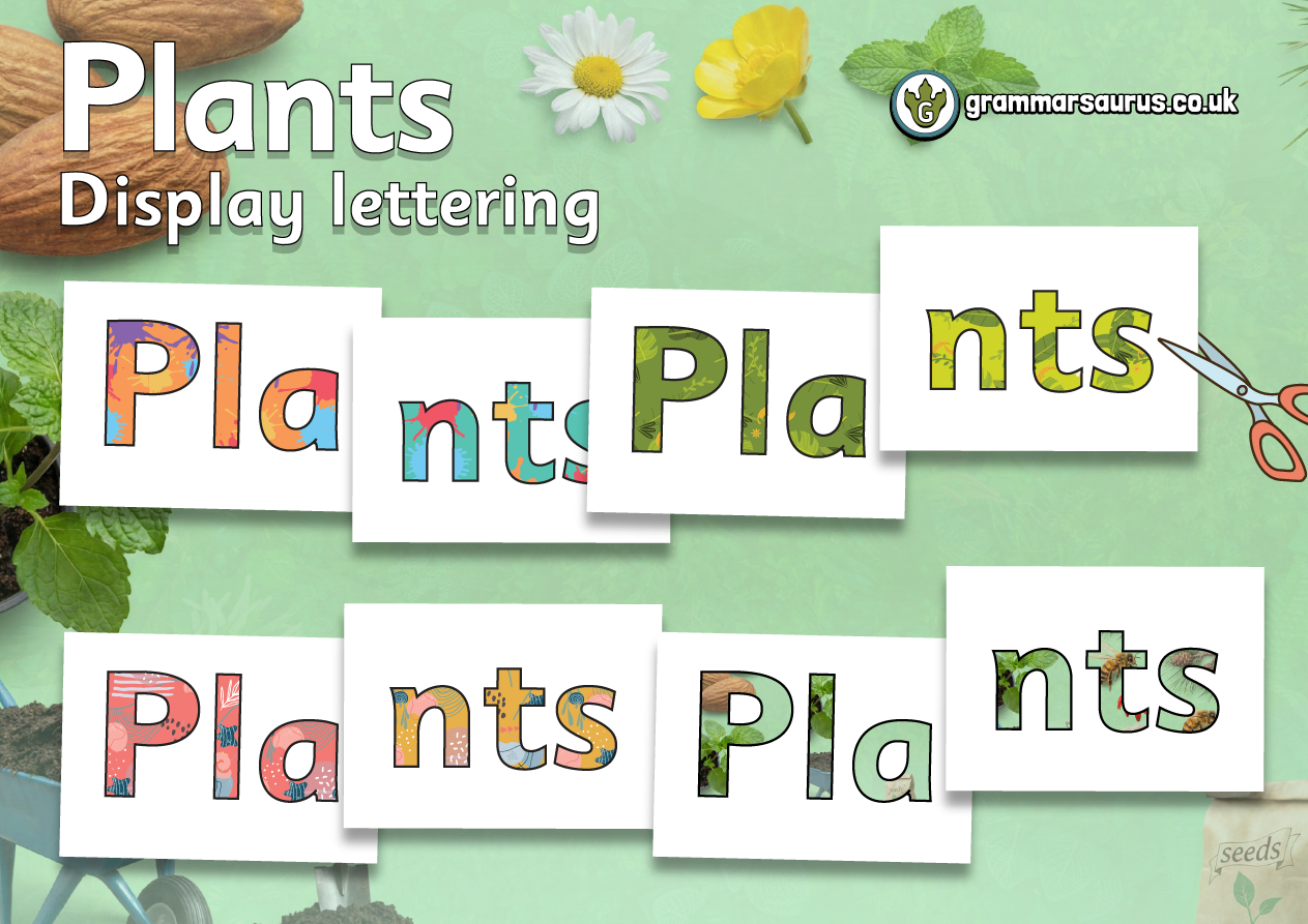 Year 2 Science - Plants - Display lettering - Grammarsaurus