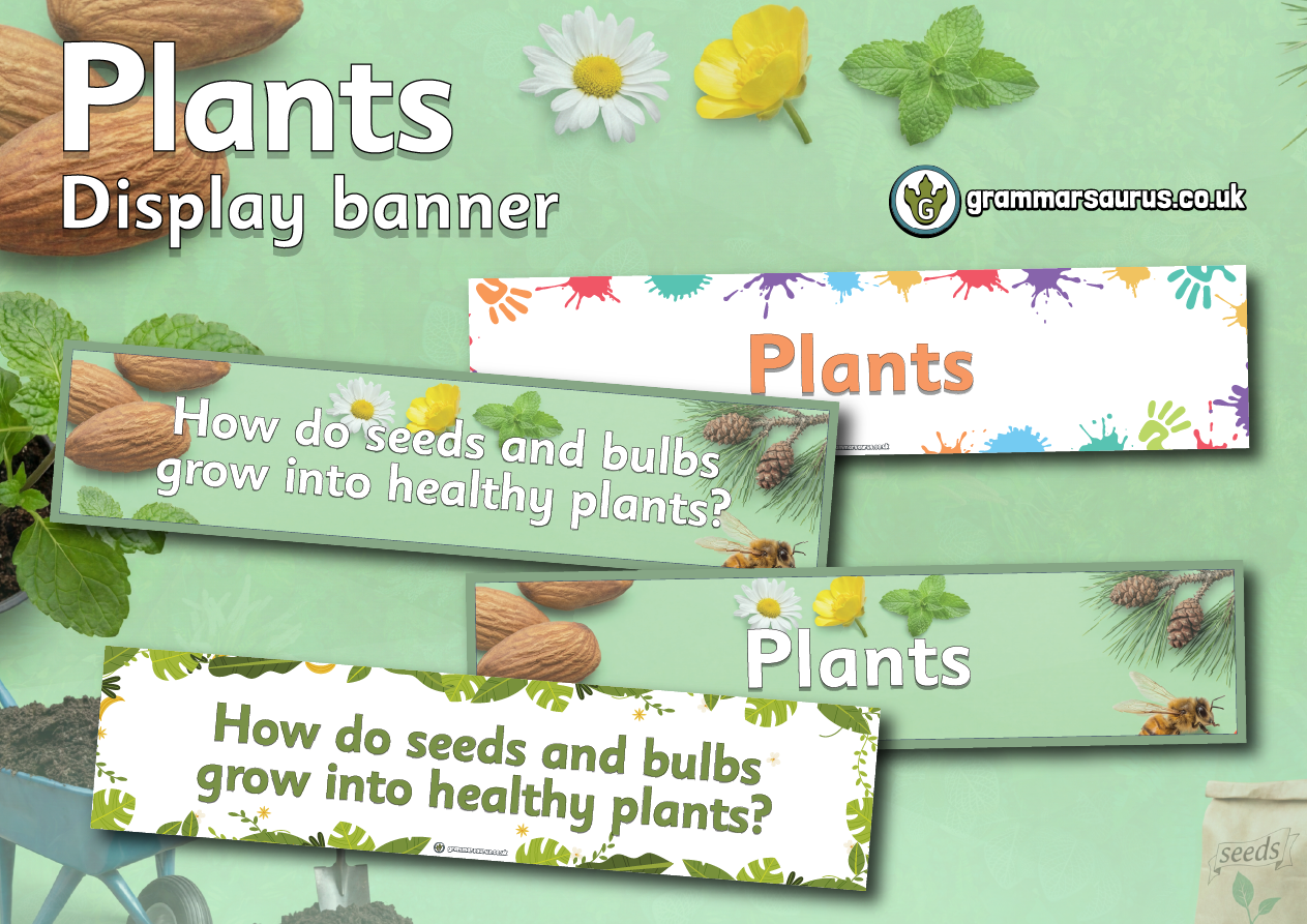 Year 2 Science - Plants - Display banner - Grammarsaurus