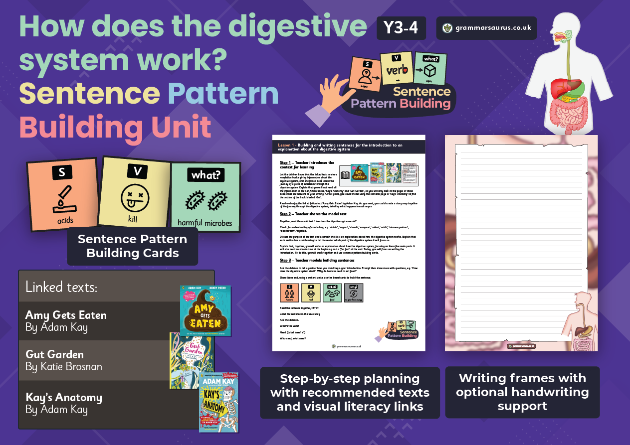 How does the digestive system work? Sentence Pattern Building Unit ...