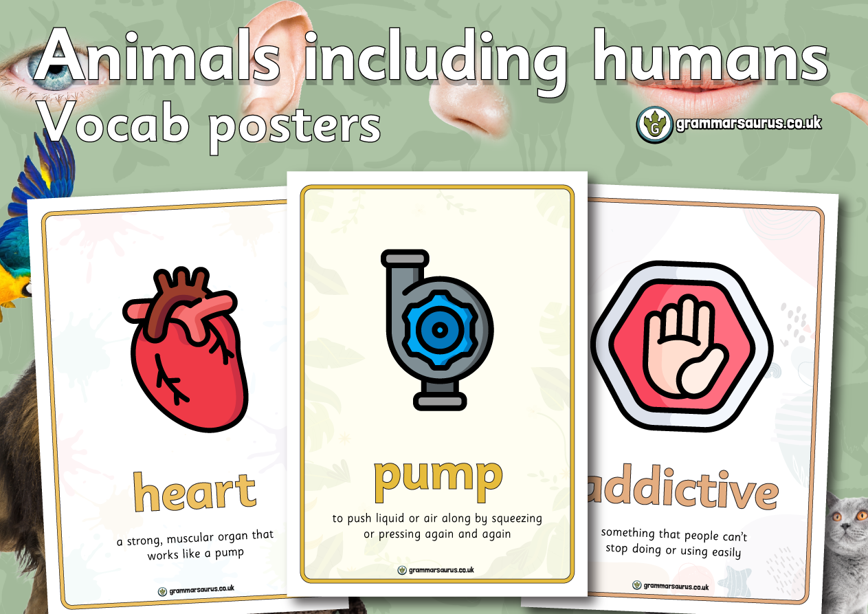 Year 6 Science – Animals including humans – Vocab posters - Grammarsaurus