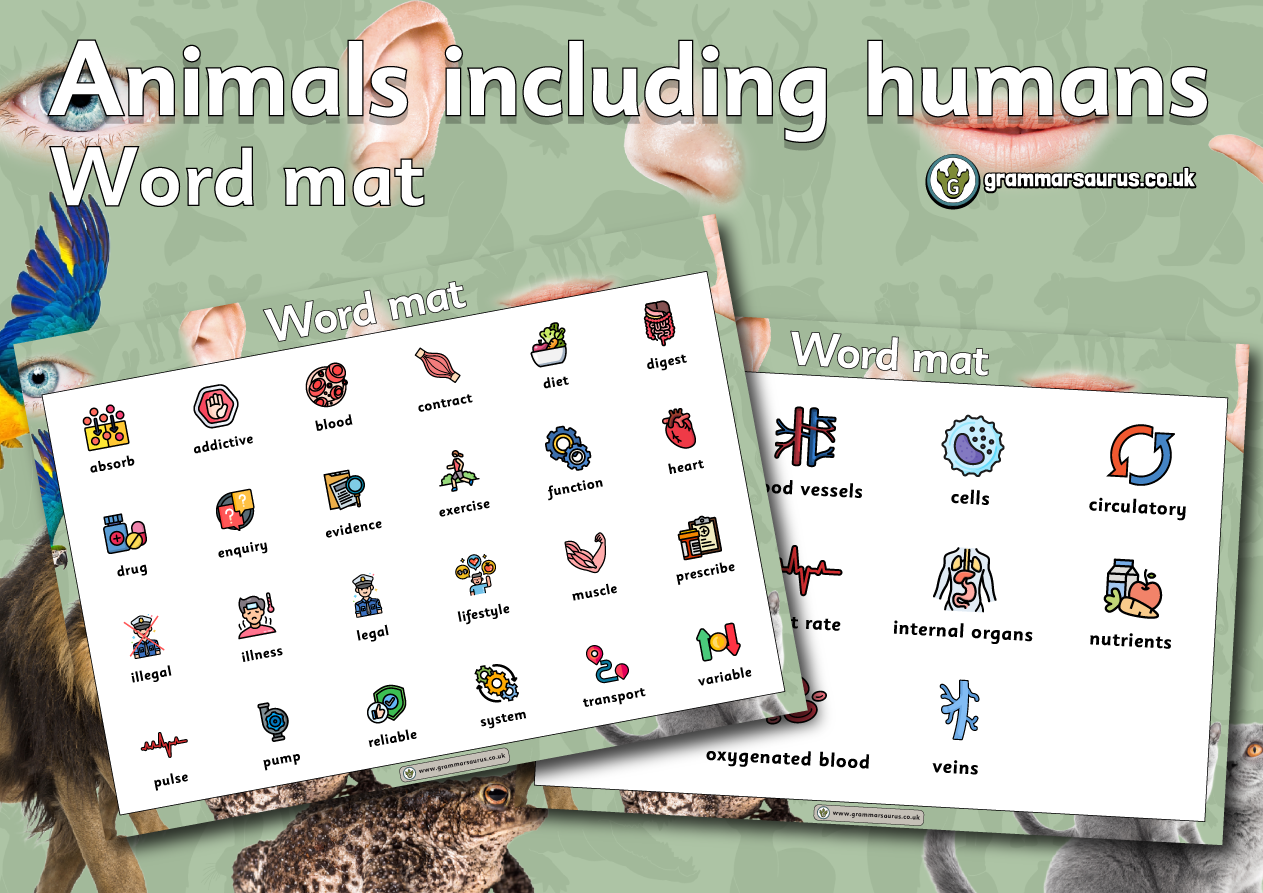 Year 6 Science – Animals including humans – Word mat - Grammarsaurus