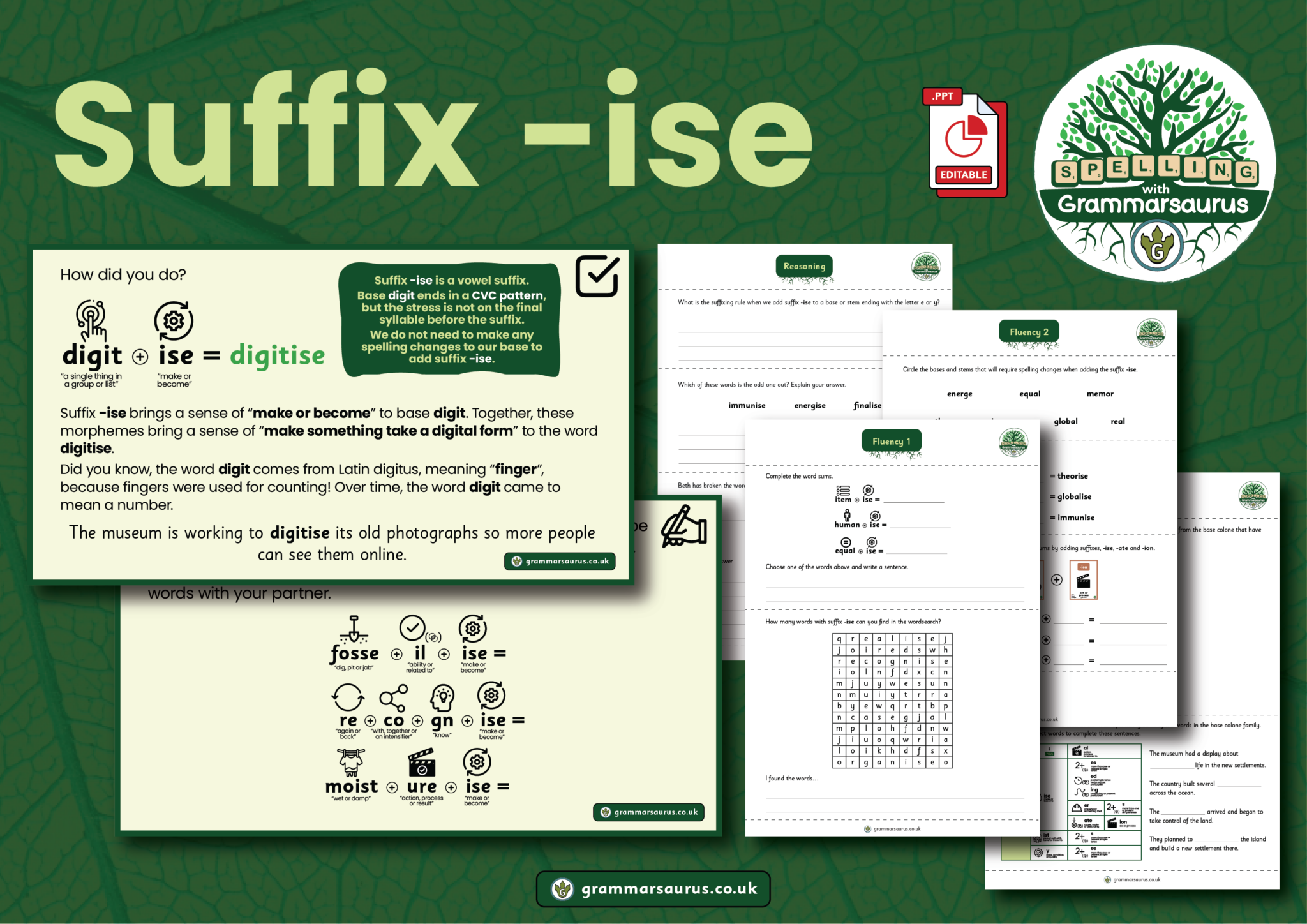 Y4 Objective 23 (Suffix -ise) - Grammarsaurus