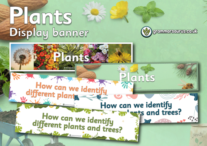 Year 1 Science - Plants - Display banner - Grammarsaurus