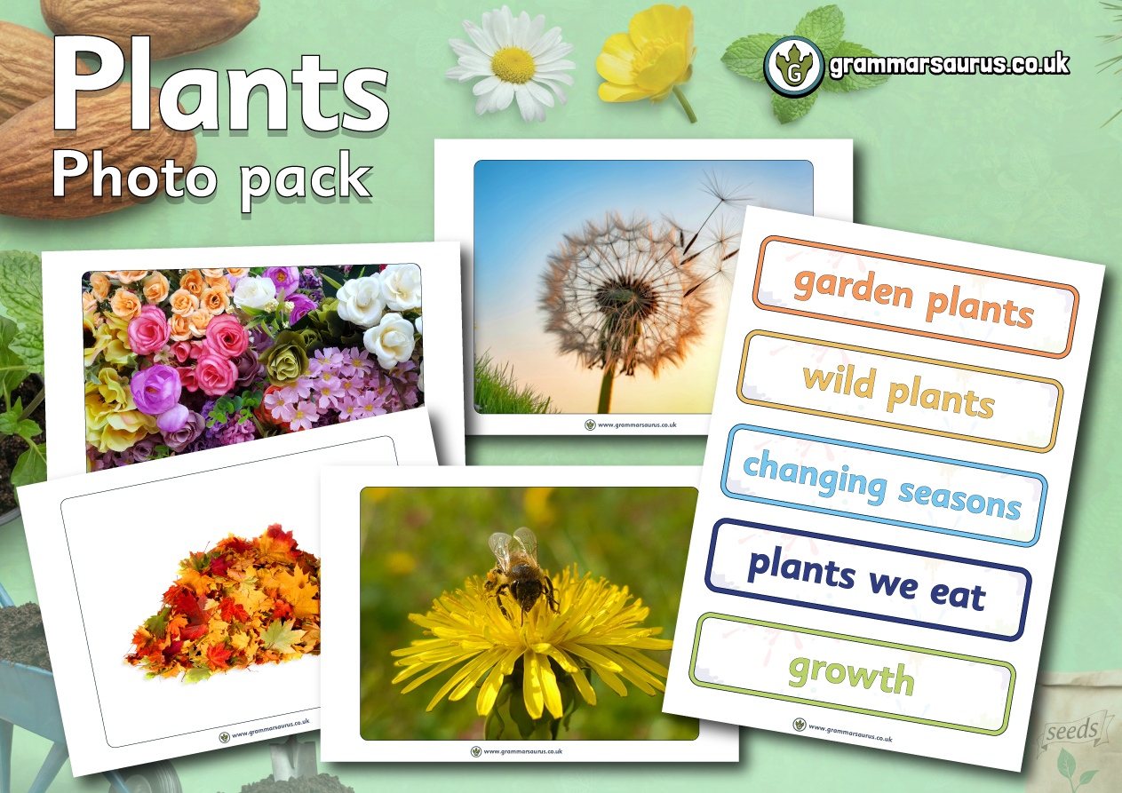 Year 1 Science - Plants - Photo pack - Grammarsaurus