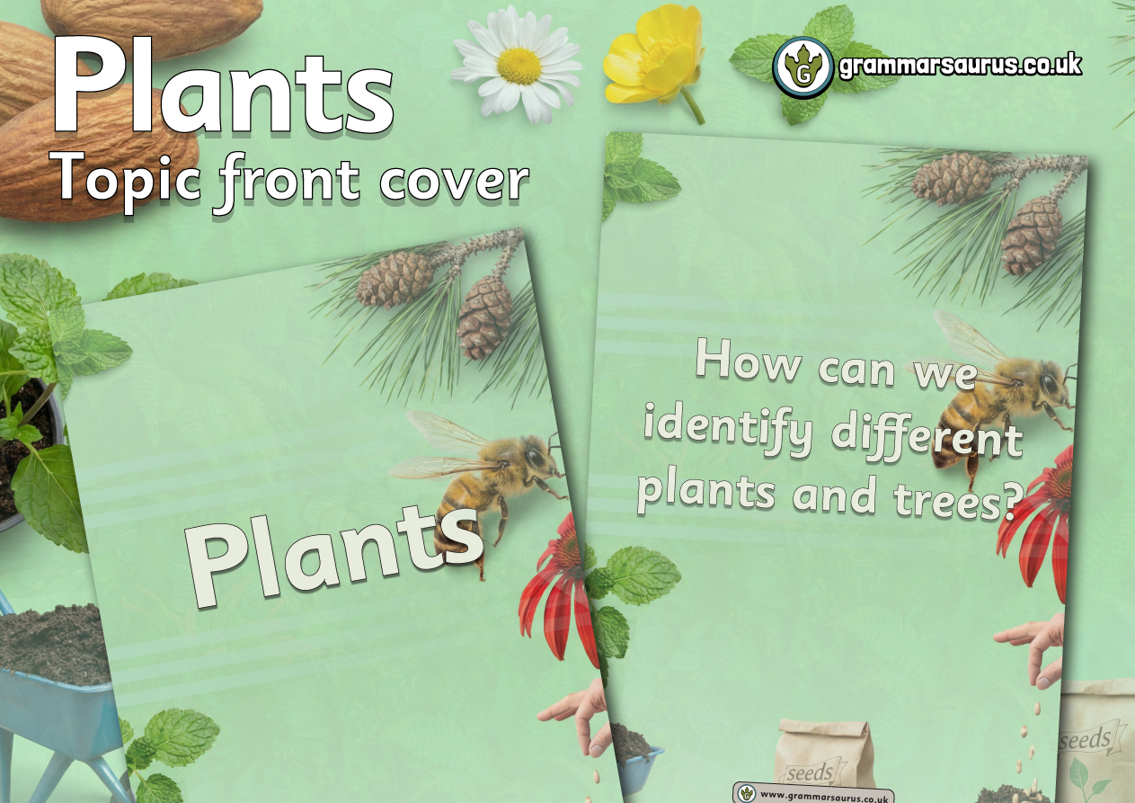 Year 1 Science - Plants - Topic front cover - Grammarsaurus