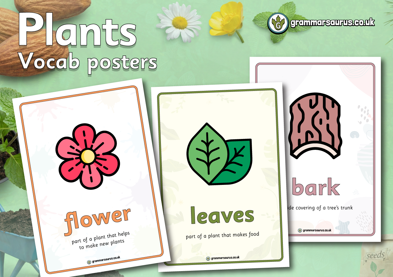 Year 1 Science - Plants - Vocab posters - Grammarsaurus