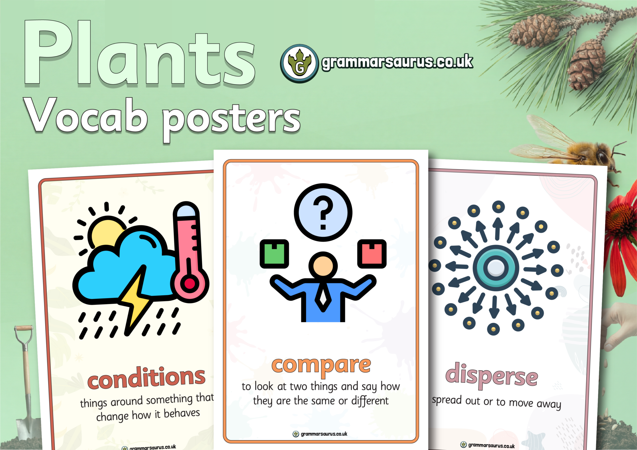 Year 3 Science - Plants - Vocab posters - Grammarsaurus