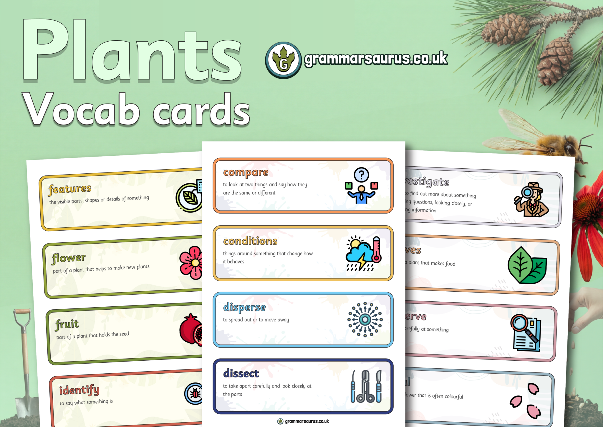 Year 3 Science - Plants - Vocab cards - Grammarsaurus
