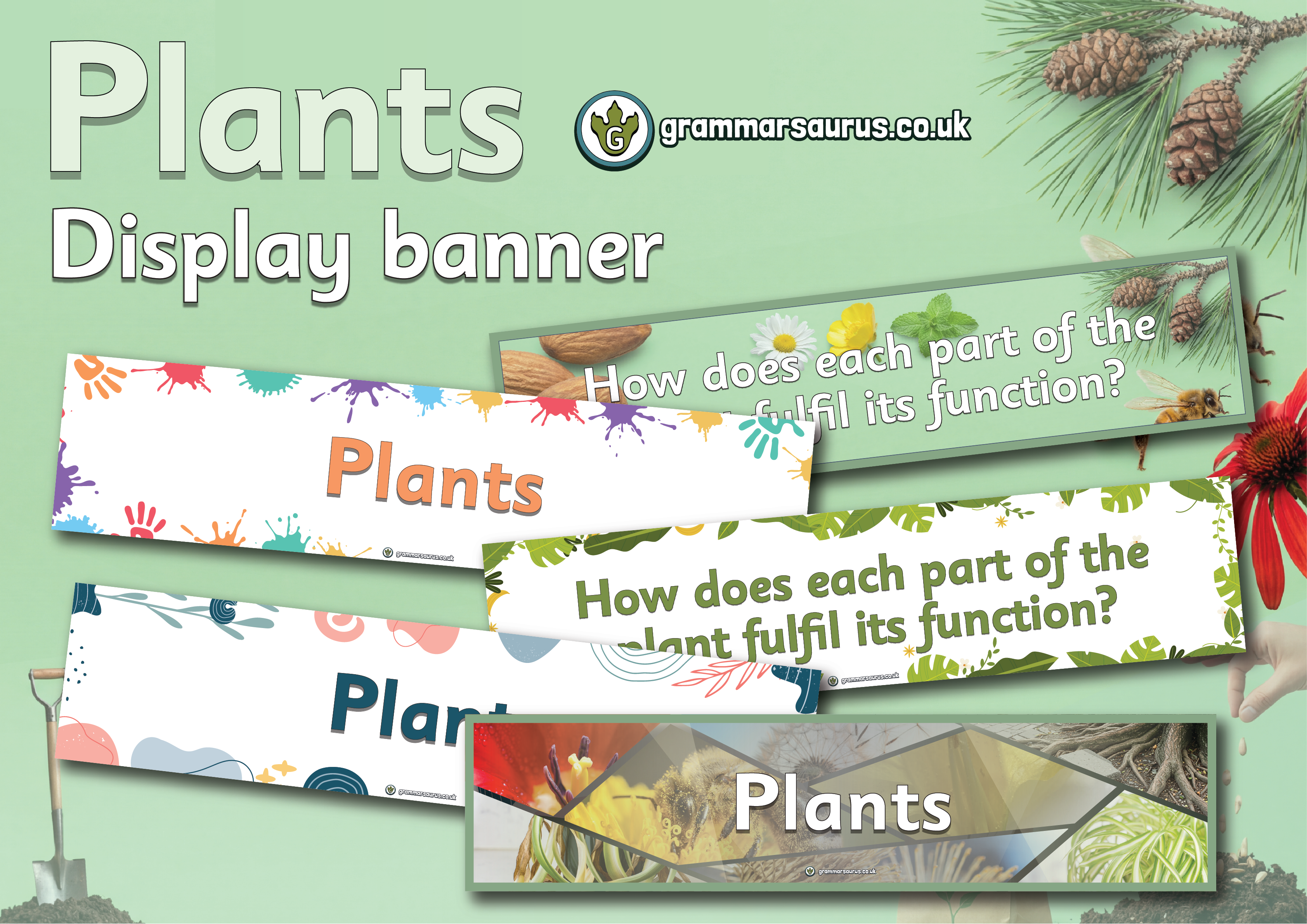 Year 3 Science - Plants - Display banner - Grammarsaurus