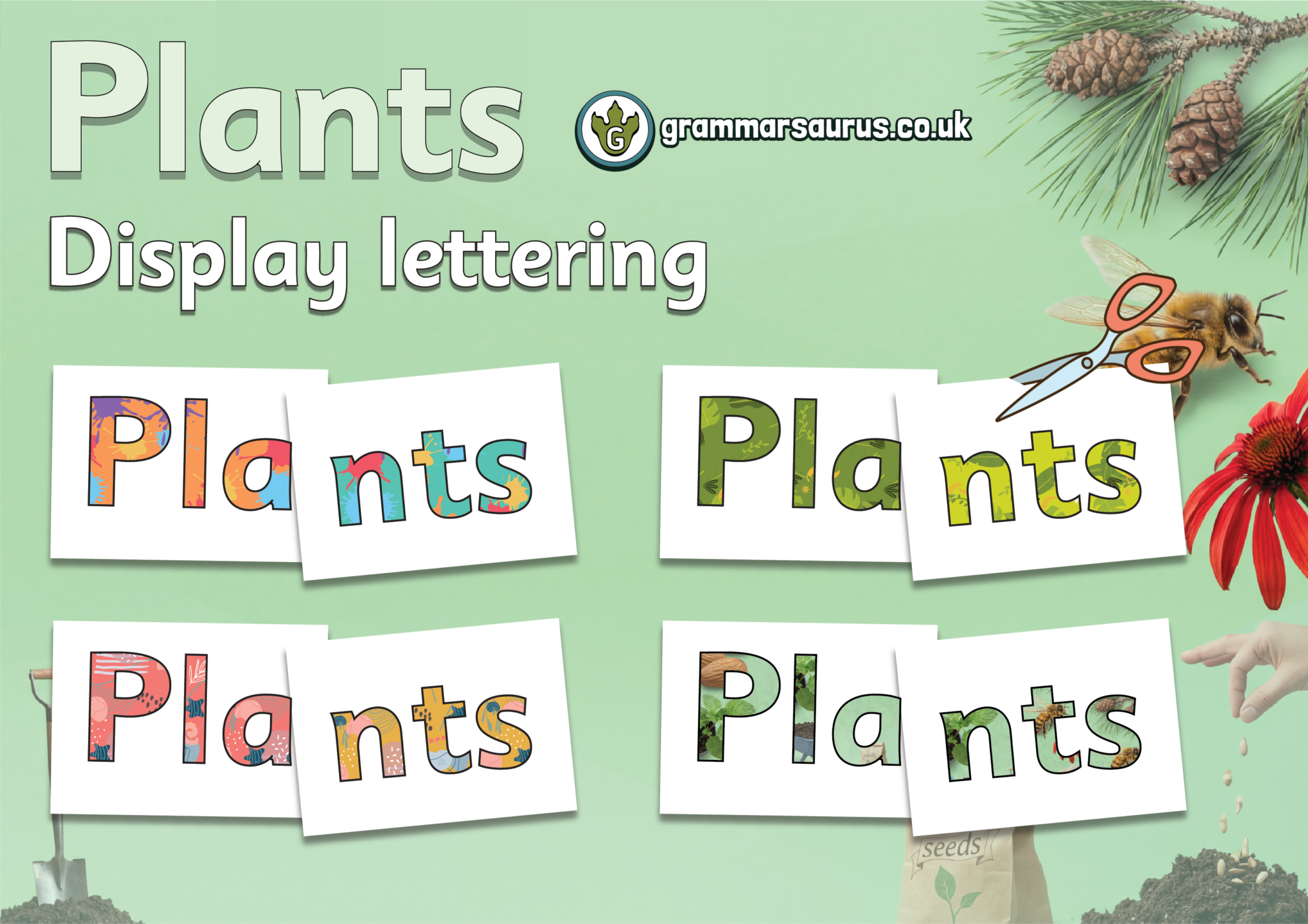 Year 3 Science - Plants - Display lettering - Grammarsaurus
