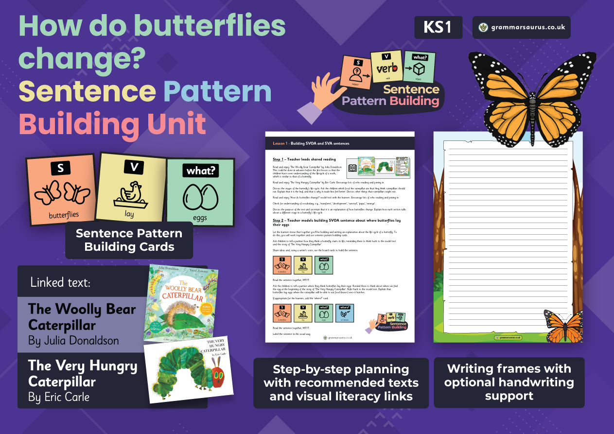 How do butterflies change? (Explanation) Sentence Pattern Building Unit ...