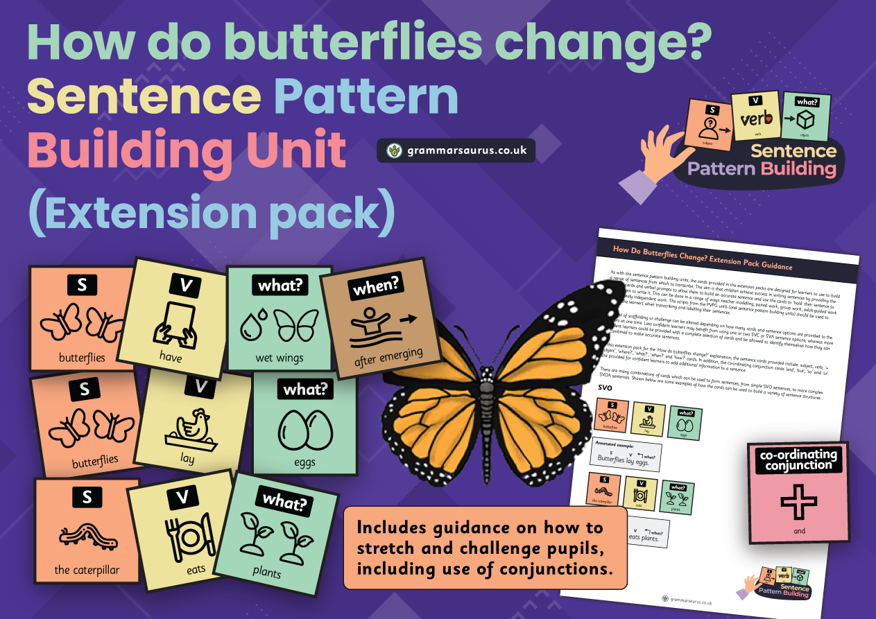 How do butterflies change? (Explanation) - Extension pack -Sentence ...