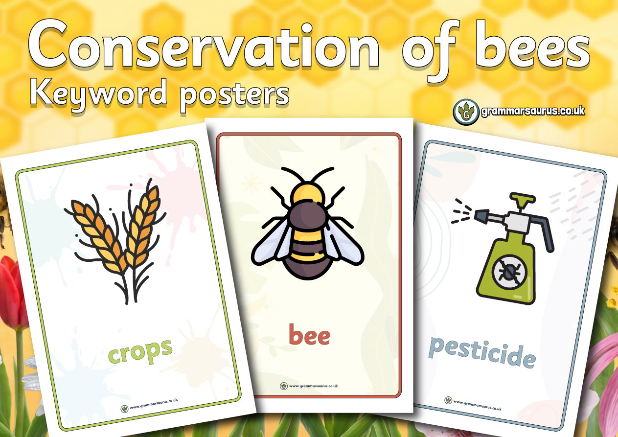 Year 3 Geography – Conservation of bees - Keyword posters - Grammarsaurus