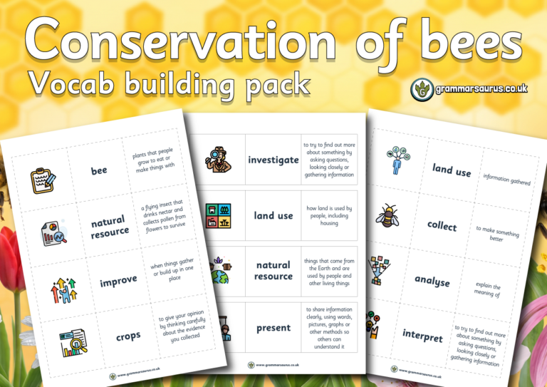 Year 3 Geography – Conservation of bees - Vocab building pack ...