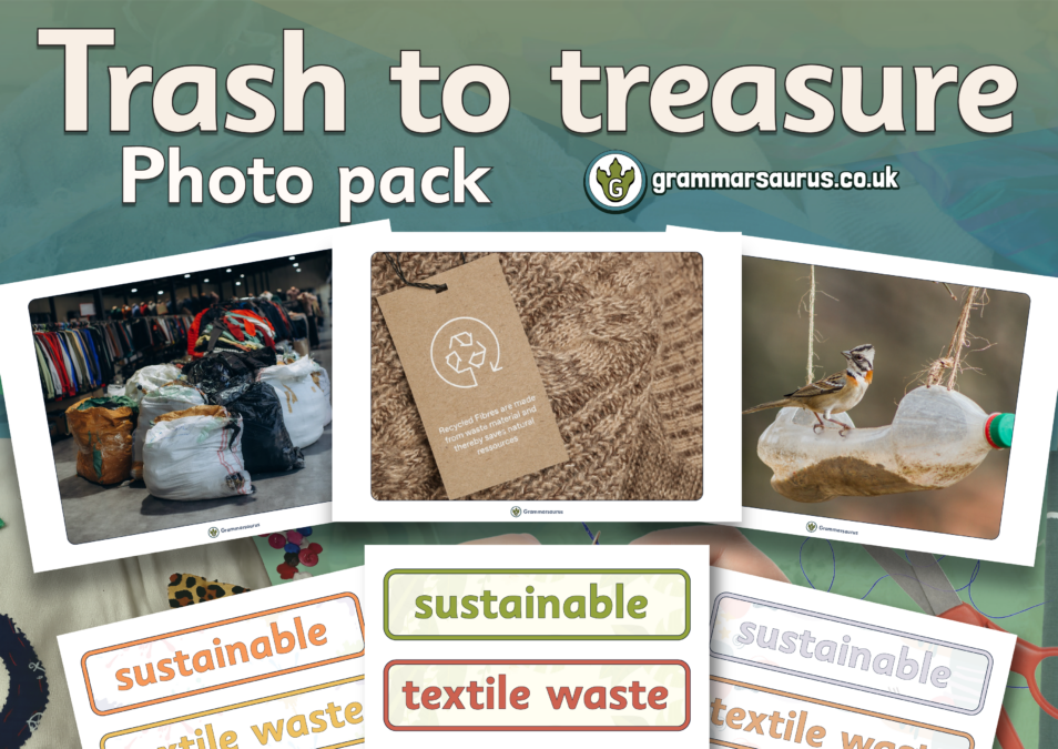 photo pack ad - Grammarsaurus